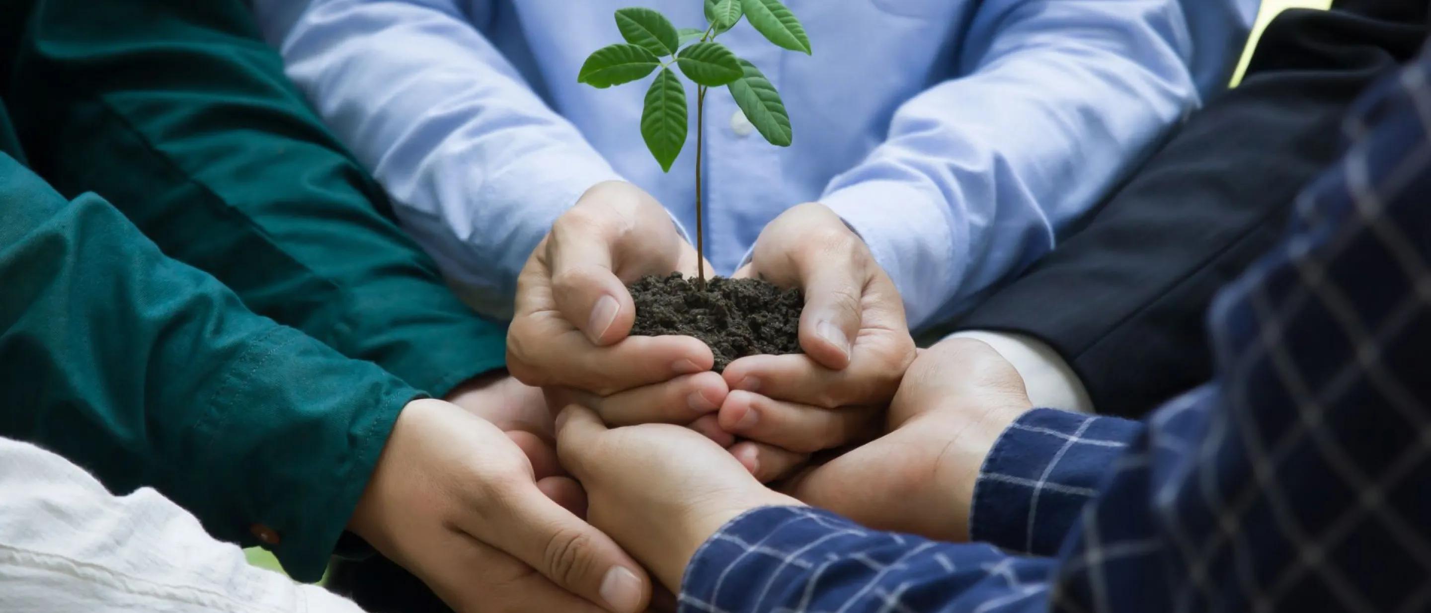 Malaysia | Pernod Ricard